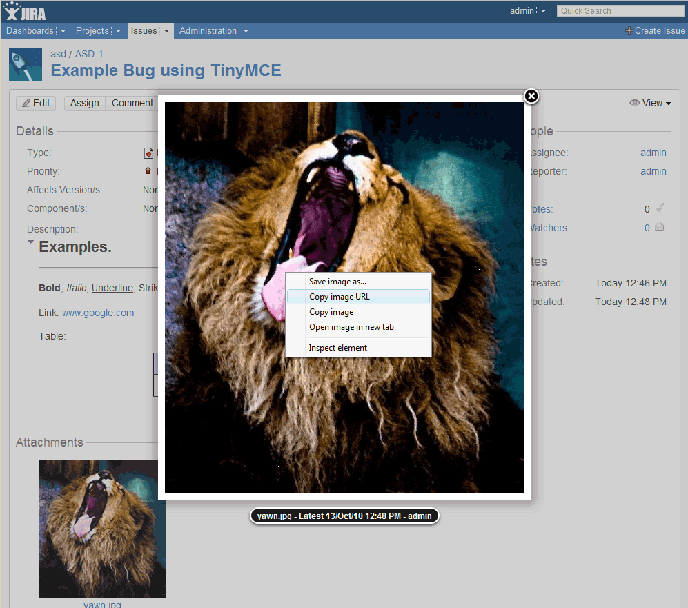 garyhodgson/tinymce-renderer-plugin @ GitHub